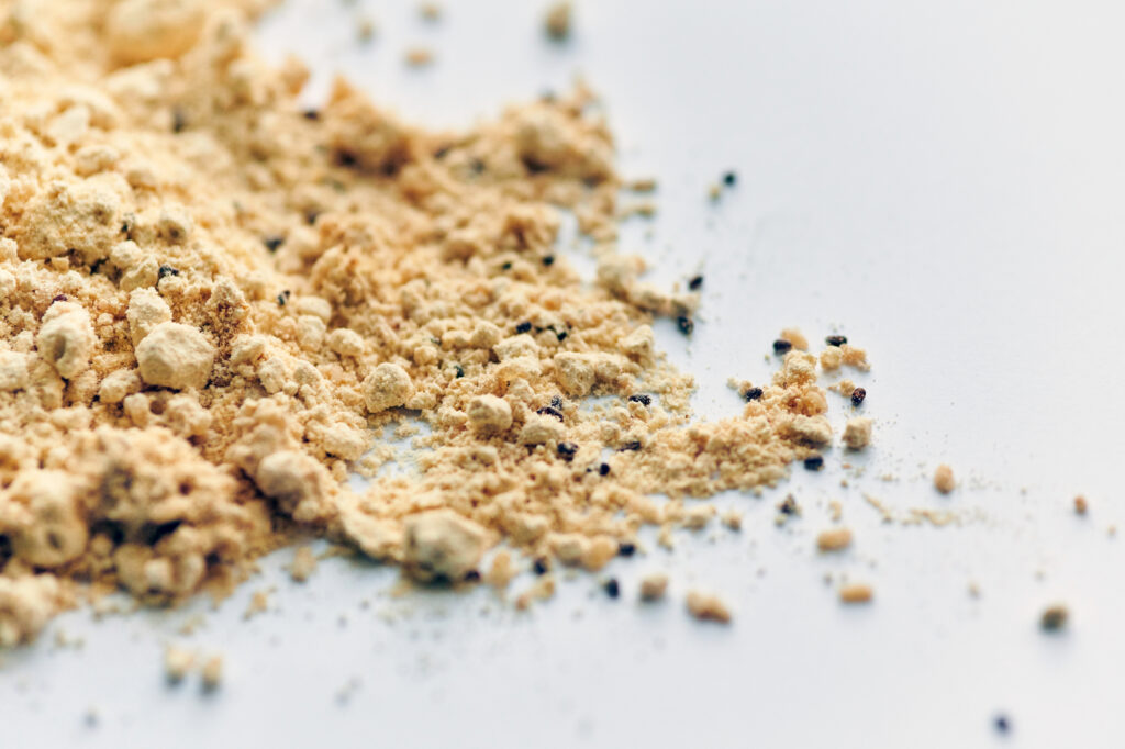 Red Flour Beetle Removal Toronto Area | York Region & More