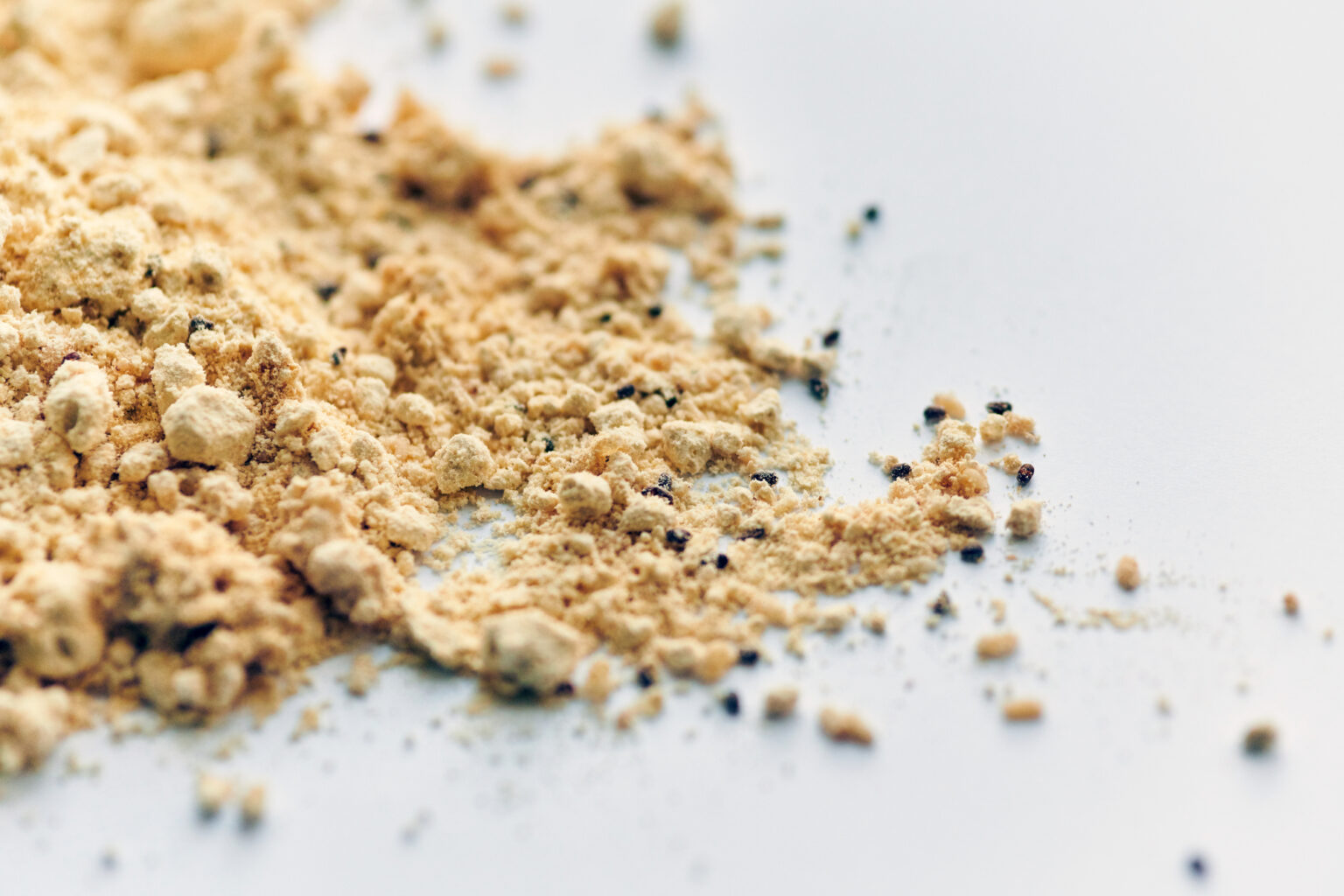 Why do I have red flour beetles? | Secret Agent Pest Control